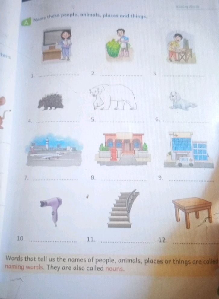 Name these people, animals, places and | StudyX