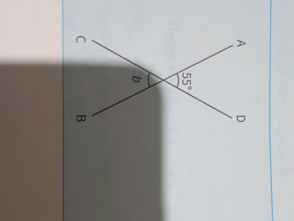 The image shows two intersecting lines. One | StudyX