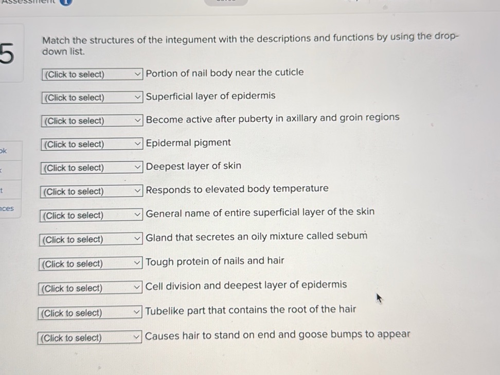 Match the structures of the integument with | StudyX