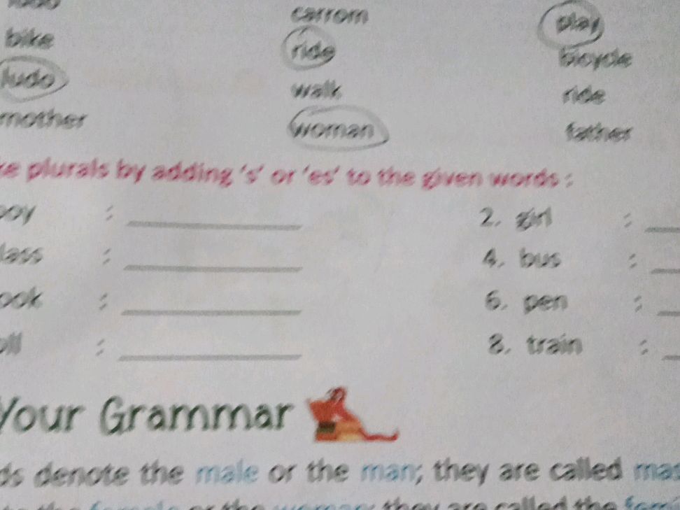 Make plurals by adding 's' or 'es' to the | StudyX