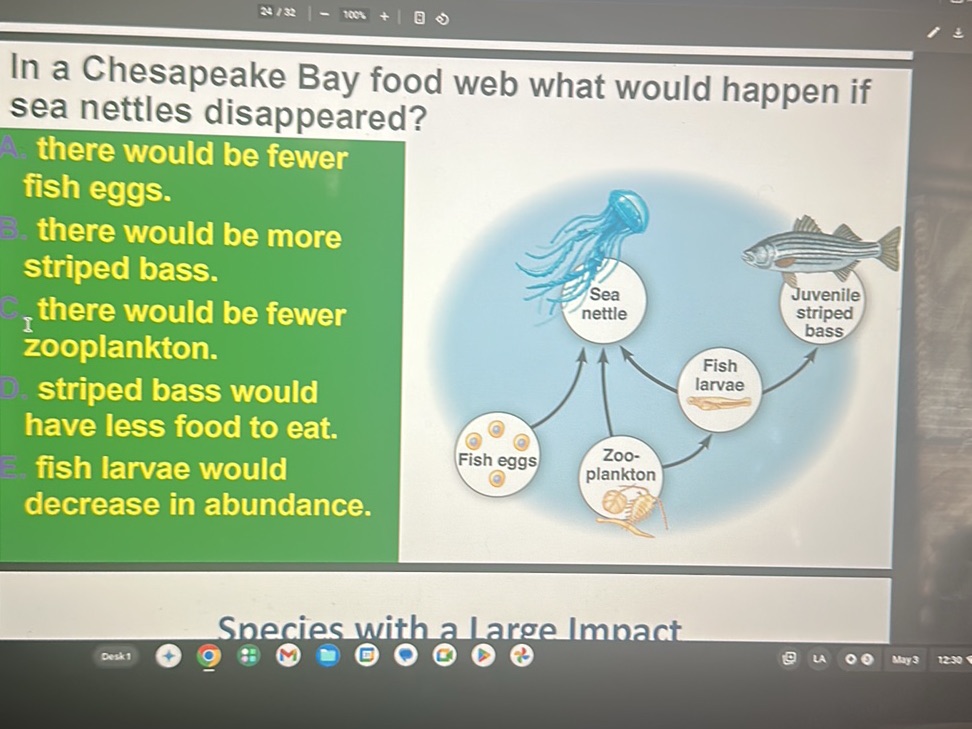 In a Chesapeake Bay food web what would | StudyX