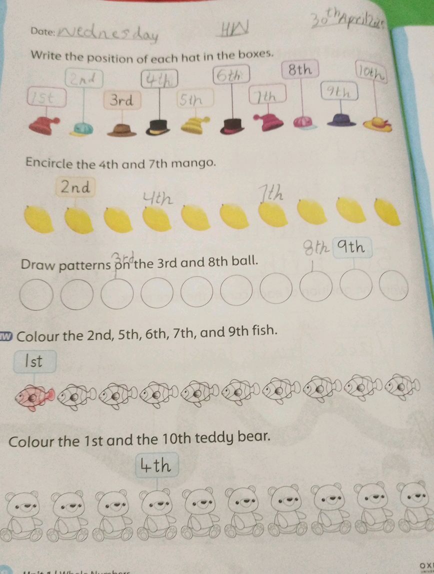 Write the position of each hat in the boxes. | StudyX