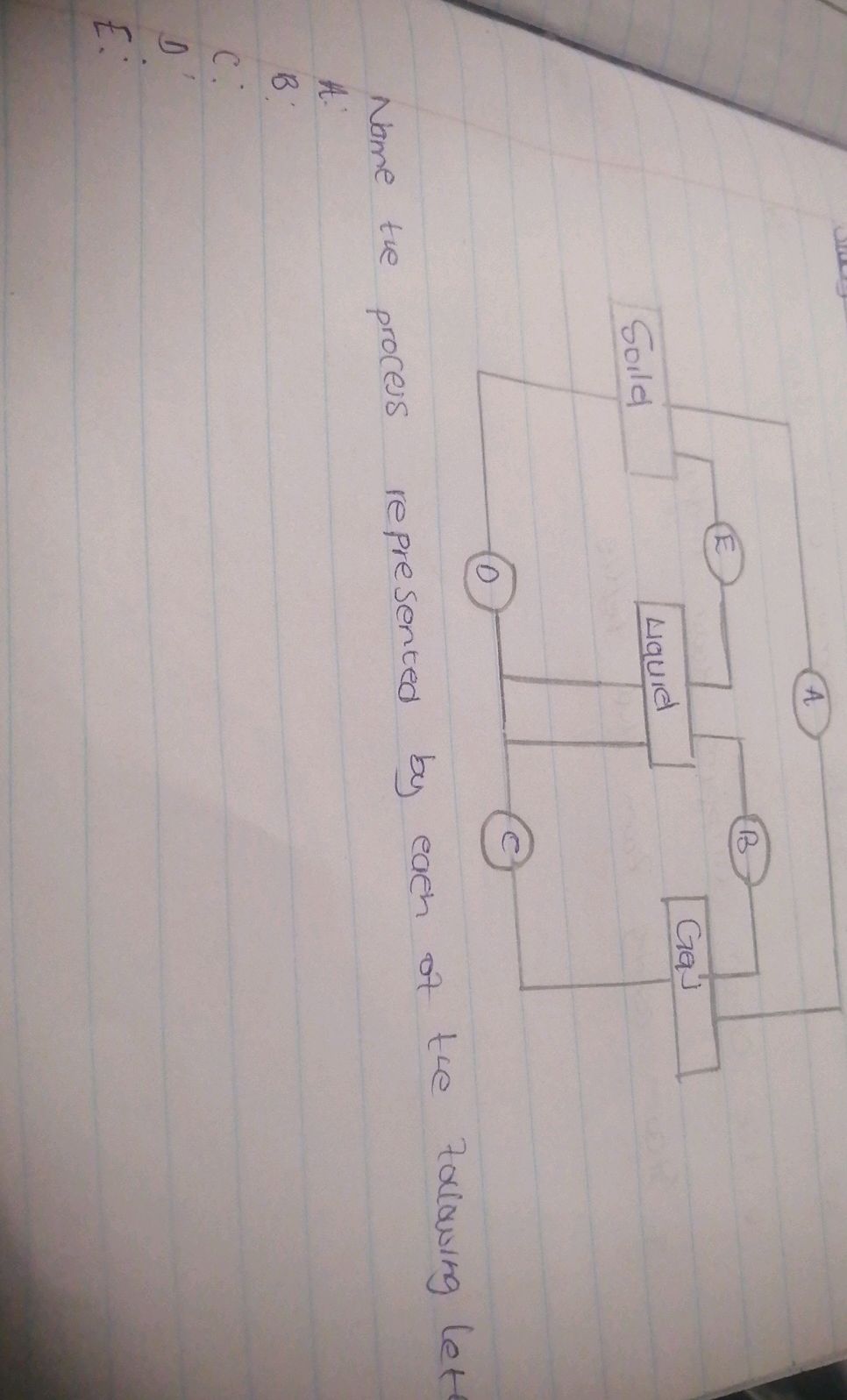 Name the process represented by each of the | StudyX