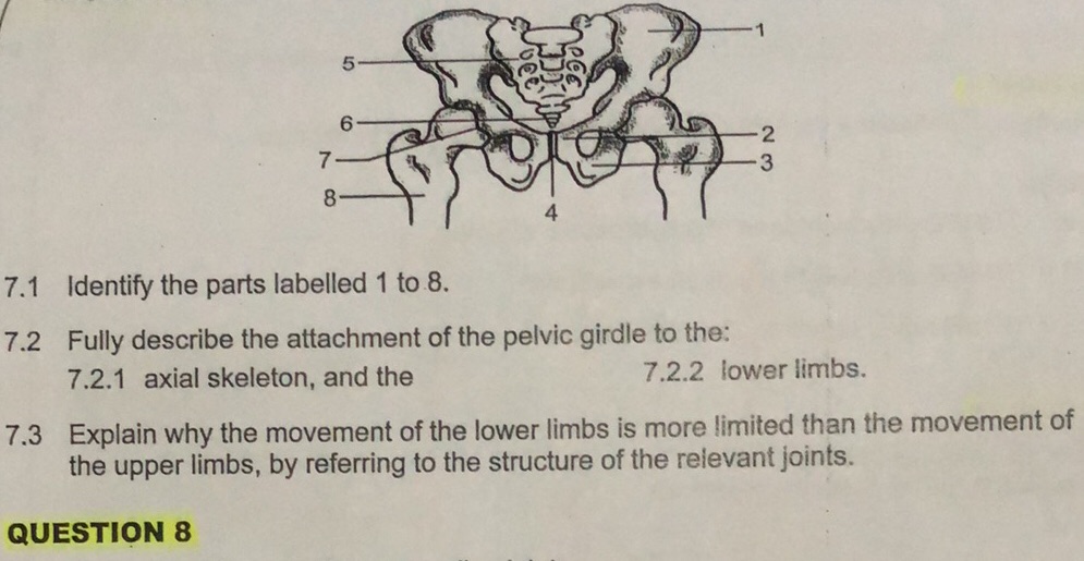 7.1 Identify the parts labelled 1 to 8. 7.2 | StudyX