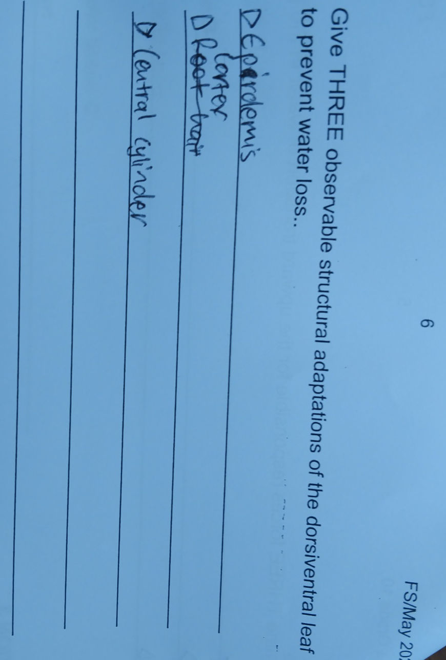 Give THREE observable structural adaptations | StudyX