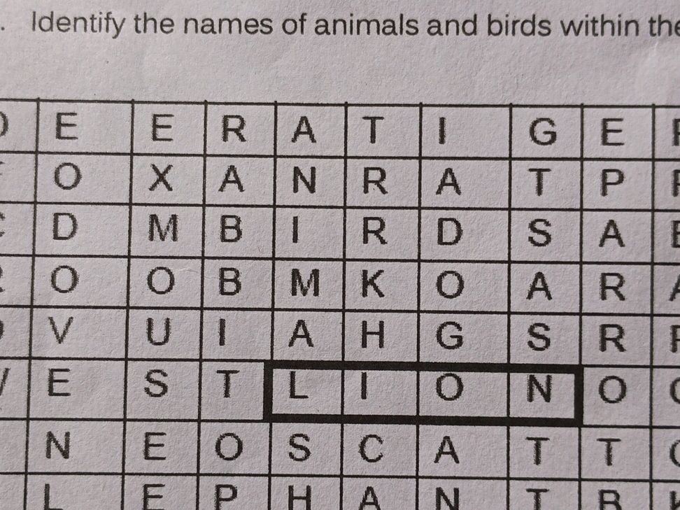 Identify the names of animals and birds | StudyX