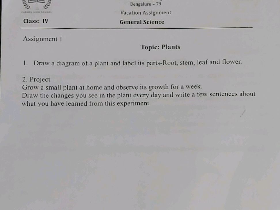 1. Draw a diagram of a plant and label its | StudyX