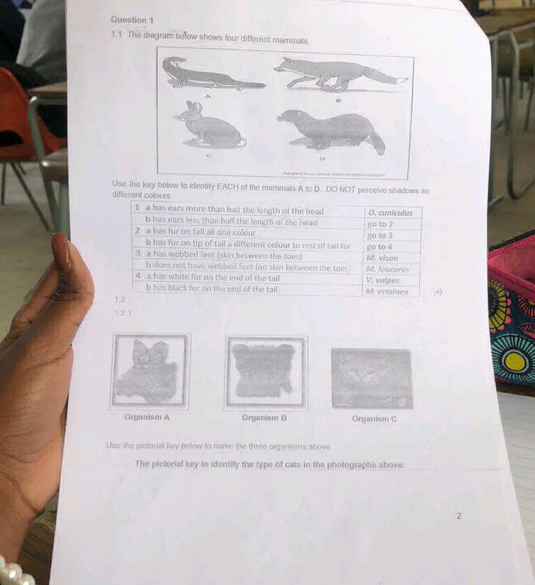 1.1 The diagram below shows four different | StudyX