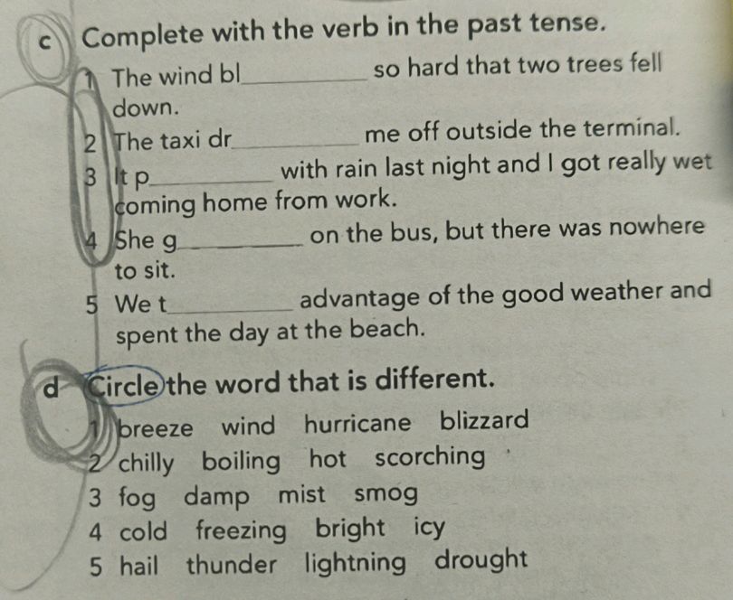 Complete with the verb in the past tense. 1 | StudyX