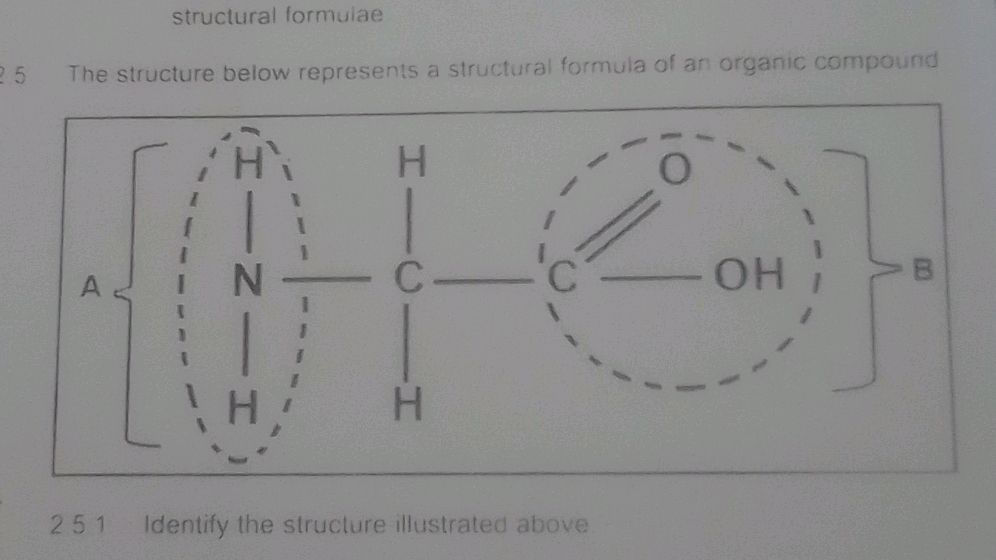 The structure below represents a structural | StudyX