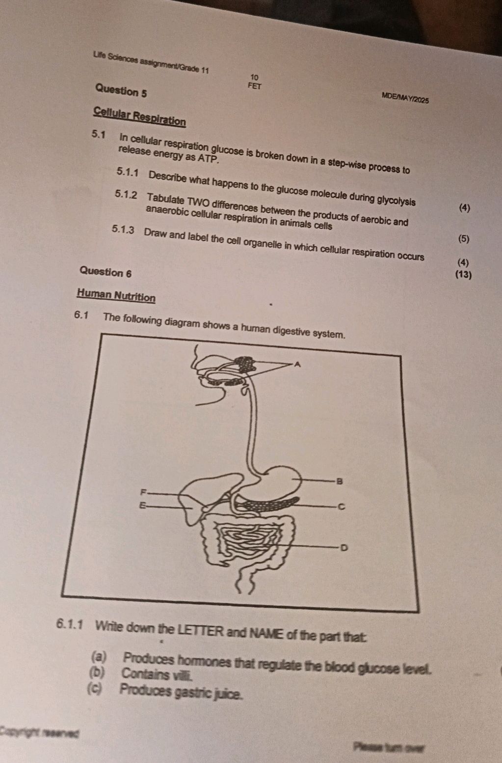 6. 1 The following diagram shows a human | StudyX