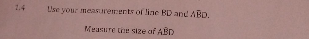 1.4 Use your measurements of line BD and | StudyX