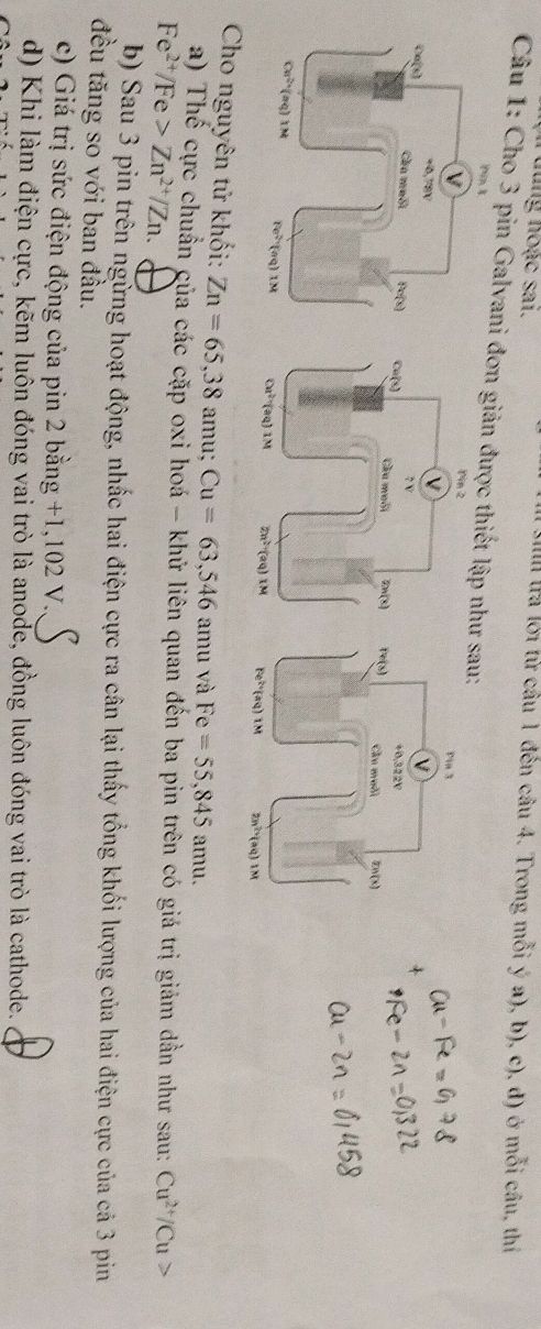 Câu 1: Cho 3 pin Galvani đơn giản được thiết | StudyX