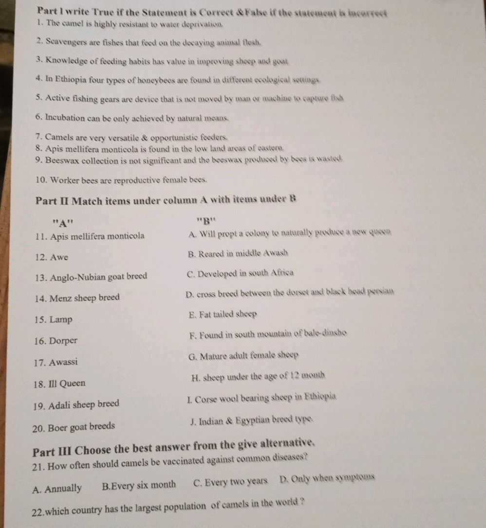 Part I write True if the Statement is | StudyX