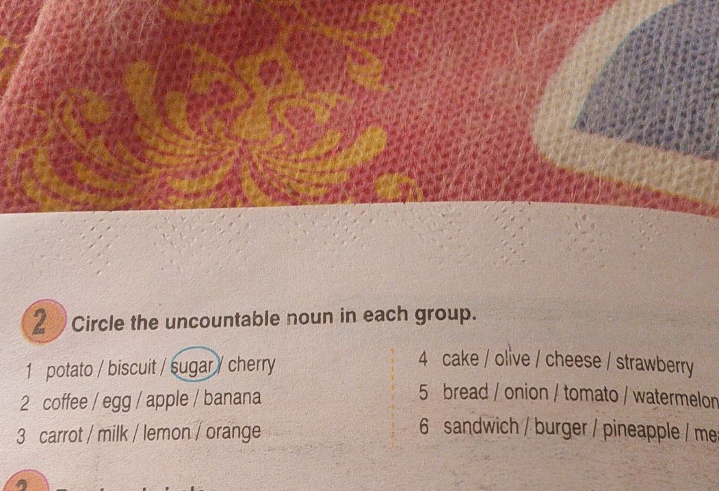 Circle the uncountable noun in each group. | StudyX