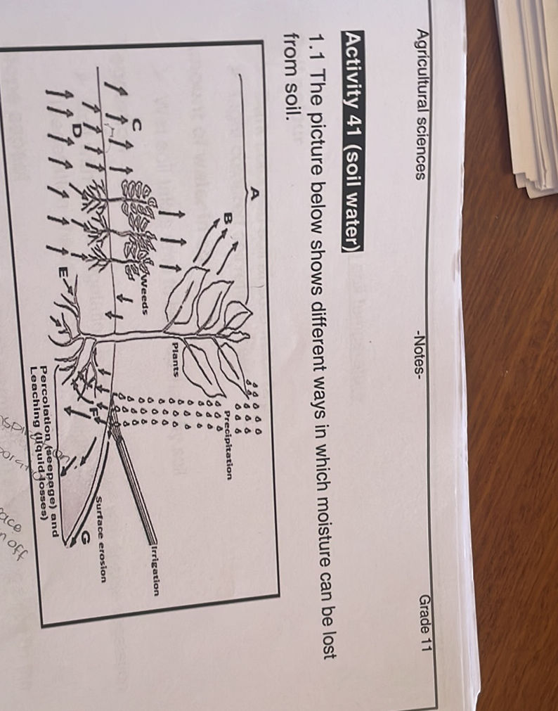 1.1 The picture below shows different ways | StudyX