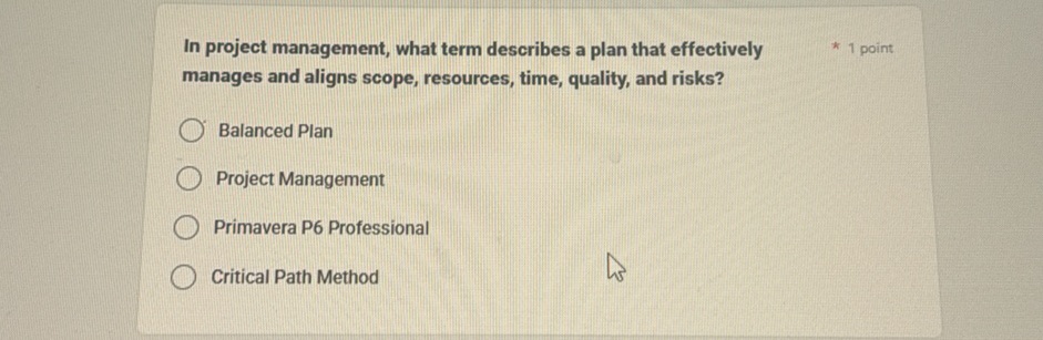 In project management, what term describes a