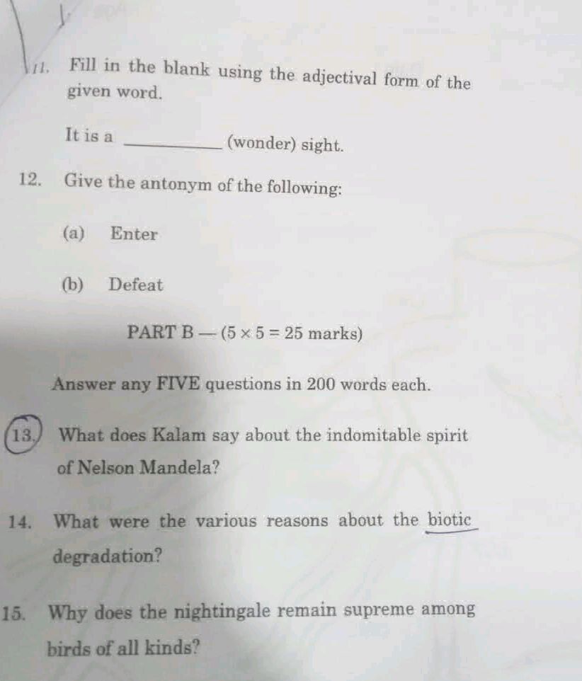 11. Fill in the blank using the adjectival | StudyX