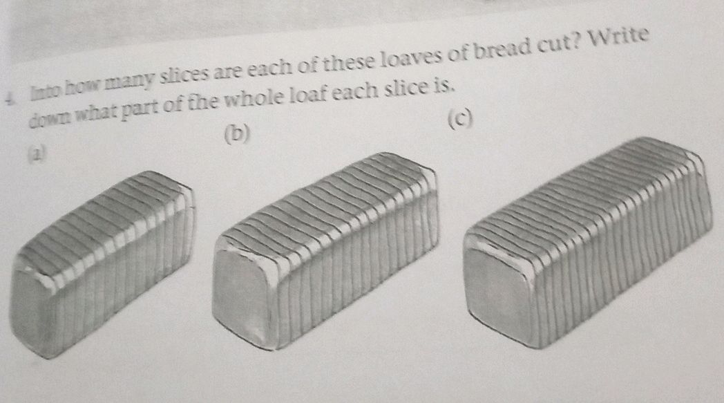 Into how many slices are each of these | StudyX