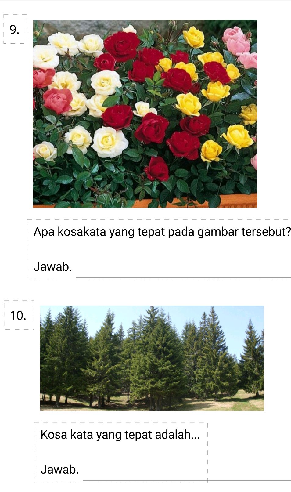 9. Apa kosakata yang tepat pada gambar | StudyX