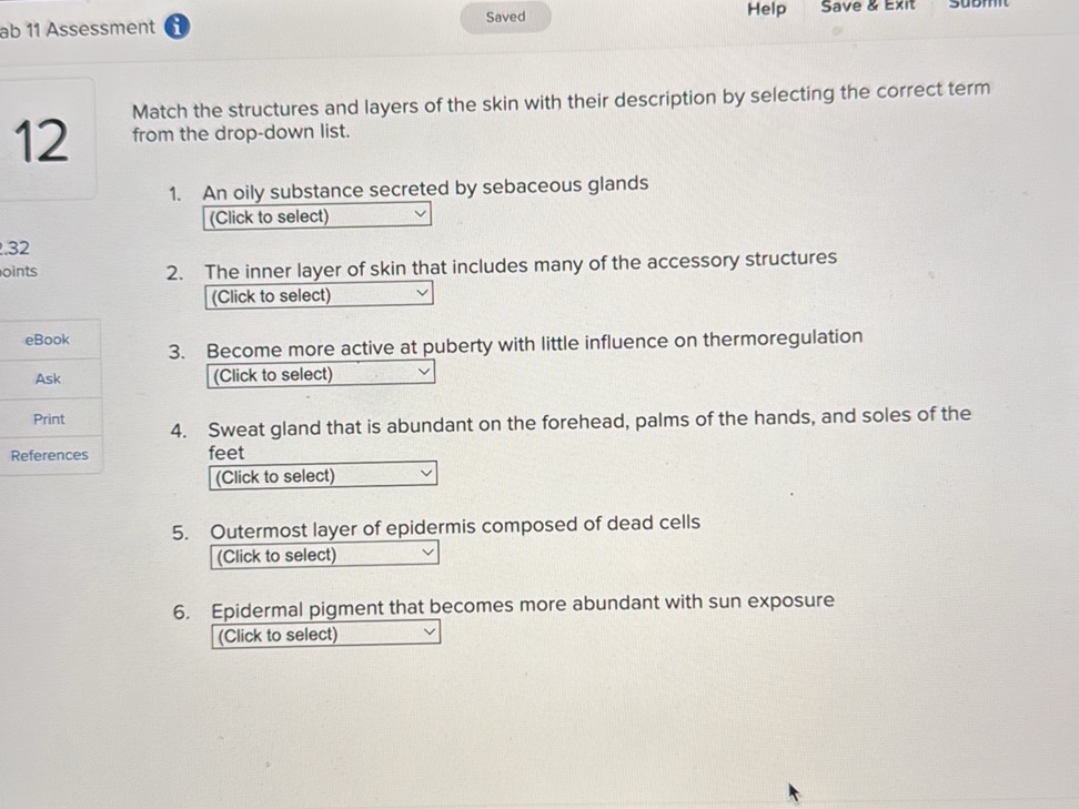 Match the structures and layers of the skin | StudyX