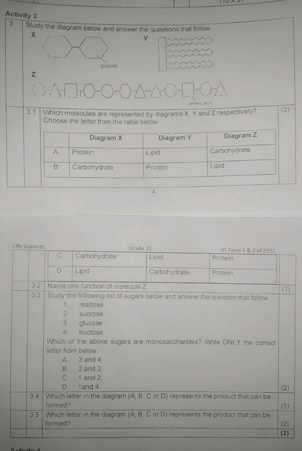 3 Study the diagram below and answer the | StudyX
