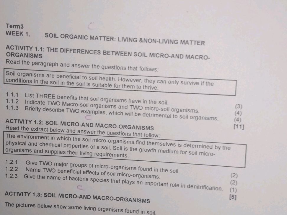 ACTIVITY 1.1: THE DIFFERENCES BETWEEN SOIL | StudyX