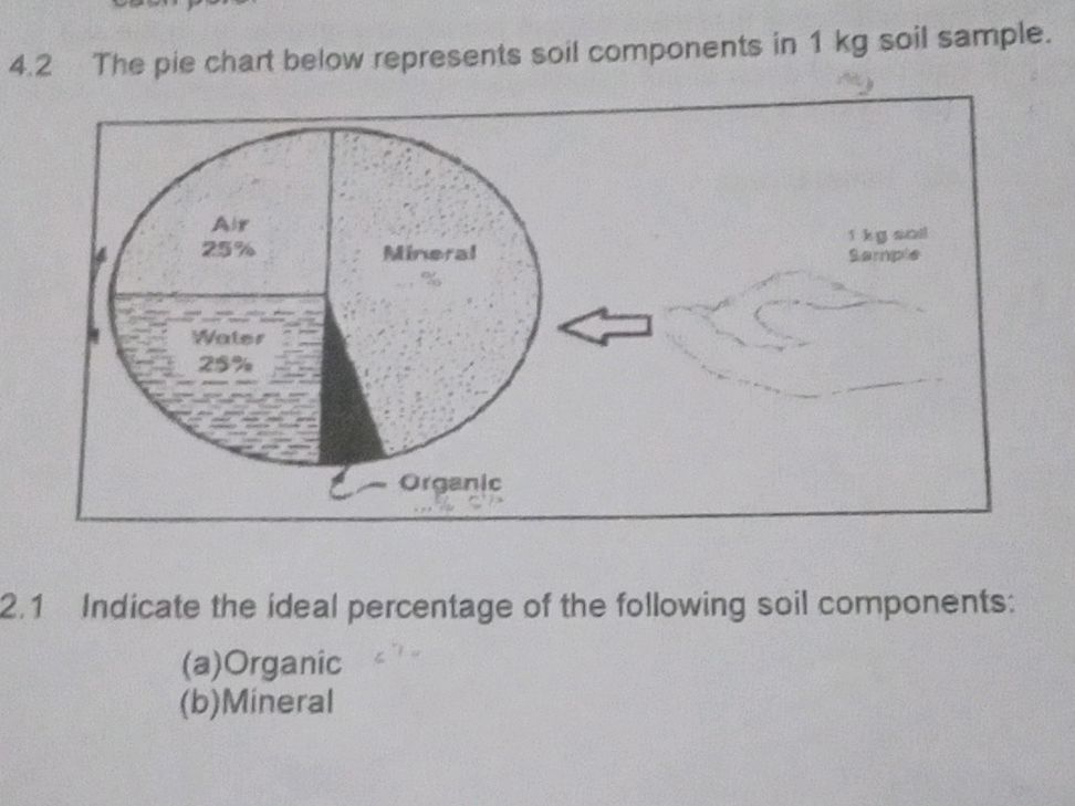 4.2 The pie chart below represents soil | StudyX