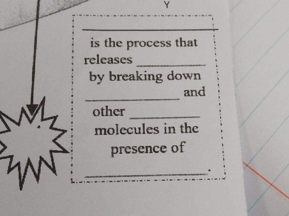 is the process that releases by breaking | StudyX