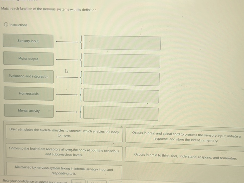 Match each function of the nervous systems | StudyX