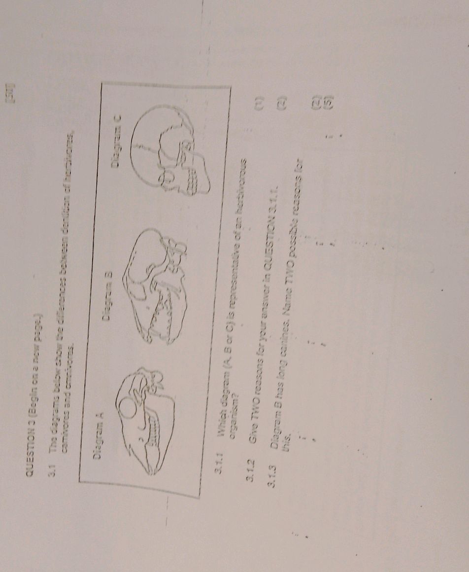 3. The diagrams below show the differences | StudyX