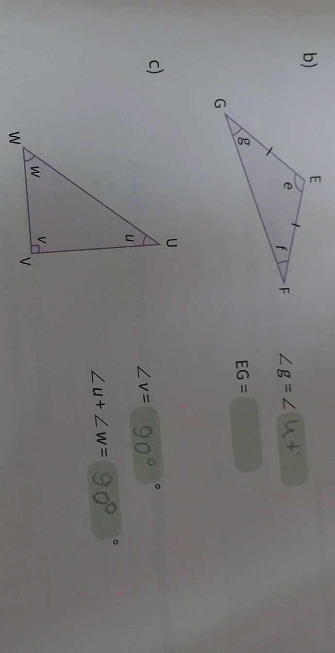 Triangle Angle Properties and Calculations | StudyX