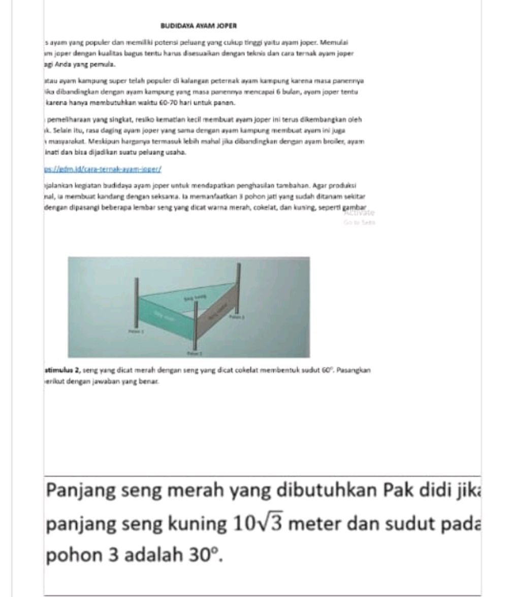 stimulus 2, seng yang dicat merah dengan | StudyX