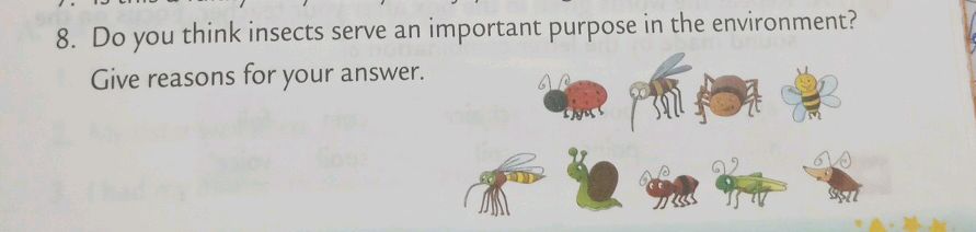 8. Do you think insects serve an important | StudyX