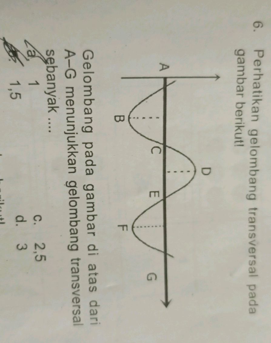 6. Perhatikan gelombang transversal pada | StudyX