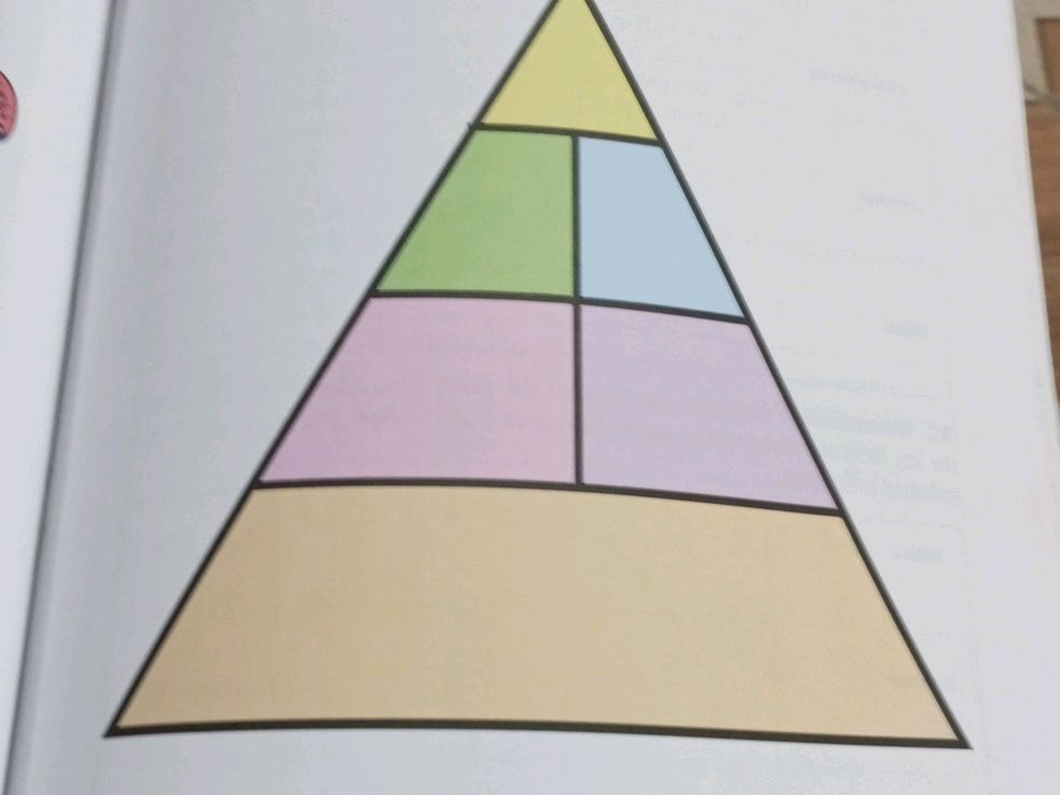 The image shows a triangle divided into | StudyX