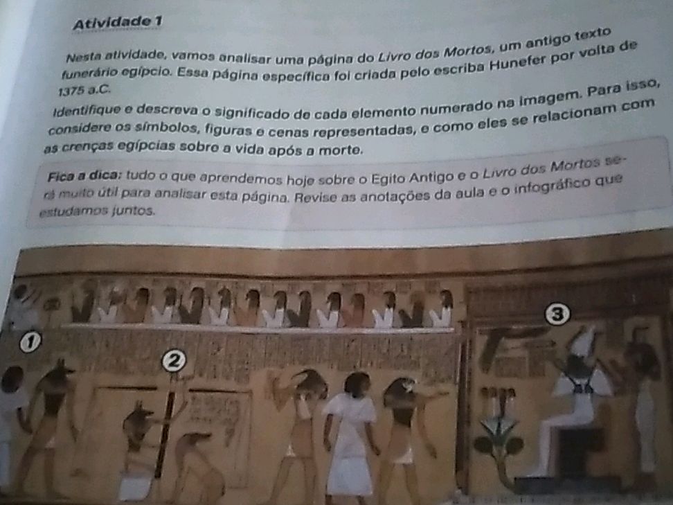 Identifique e descreva o significado de cada | StudyX
