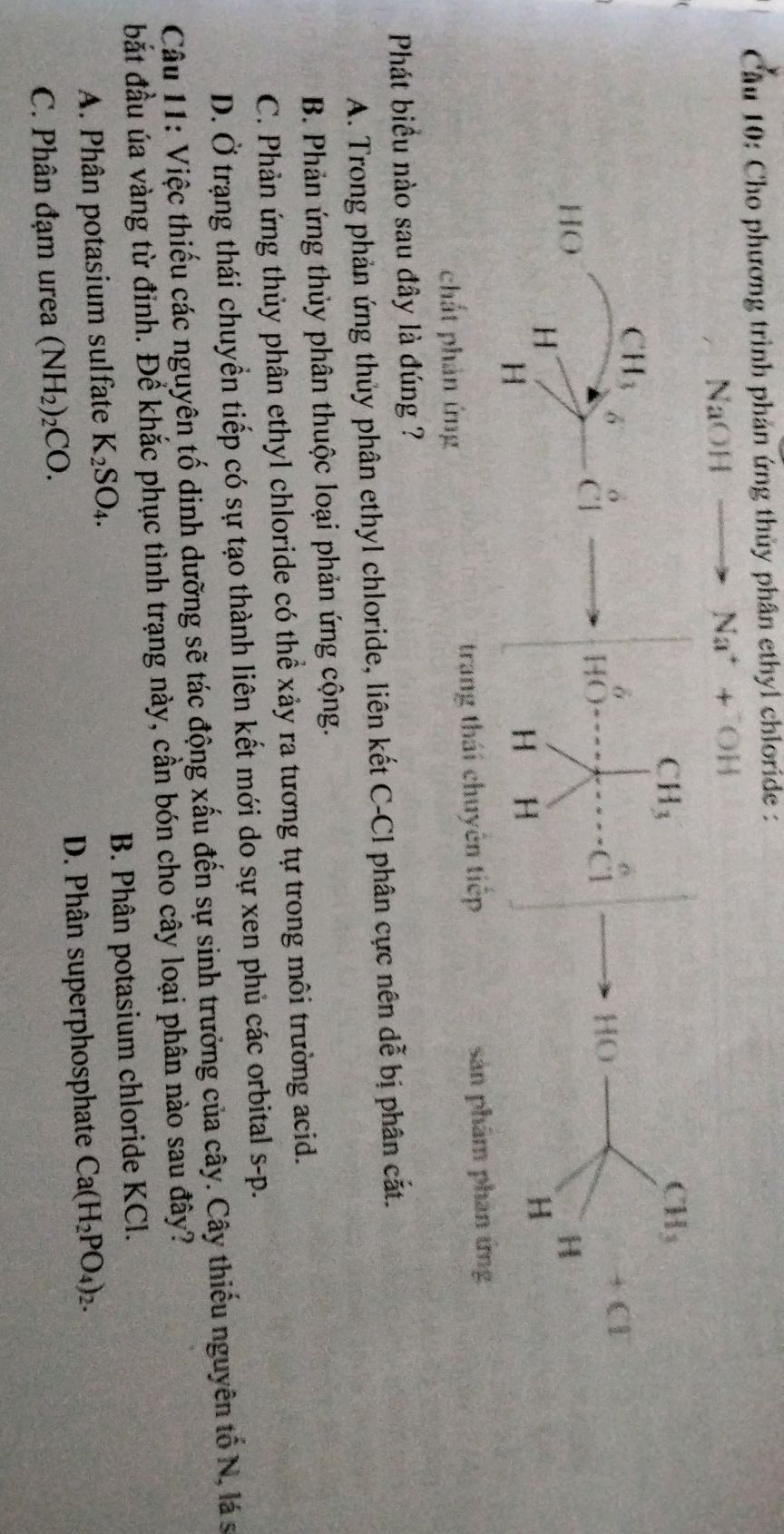 Câu 10: Cho phương trình phản ứng thủy phân | StudyX