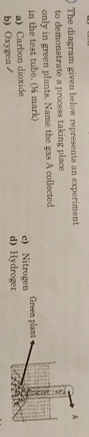 The diagram given below represents an | StudyX