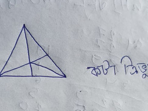 The image contains a diagram of a triangle | StudyX