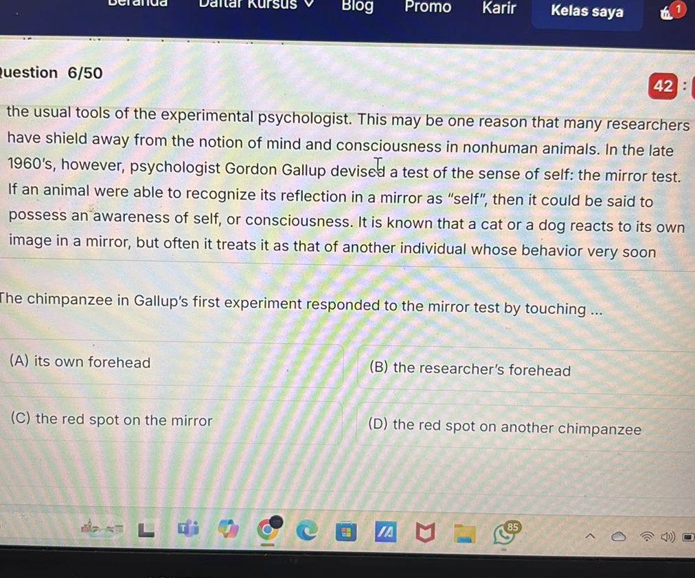 The chimpanzee in Gallup's first experiment | StudyX