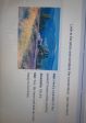 Look at the photo and complete the