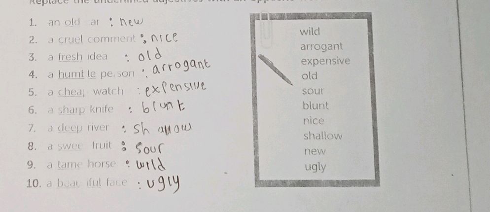 Replace the underlined adjectives with an | StudyX