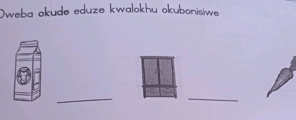 Identify objects in picture | StudyX