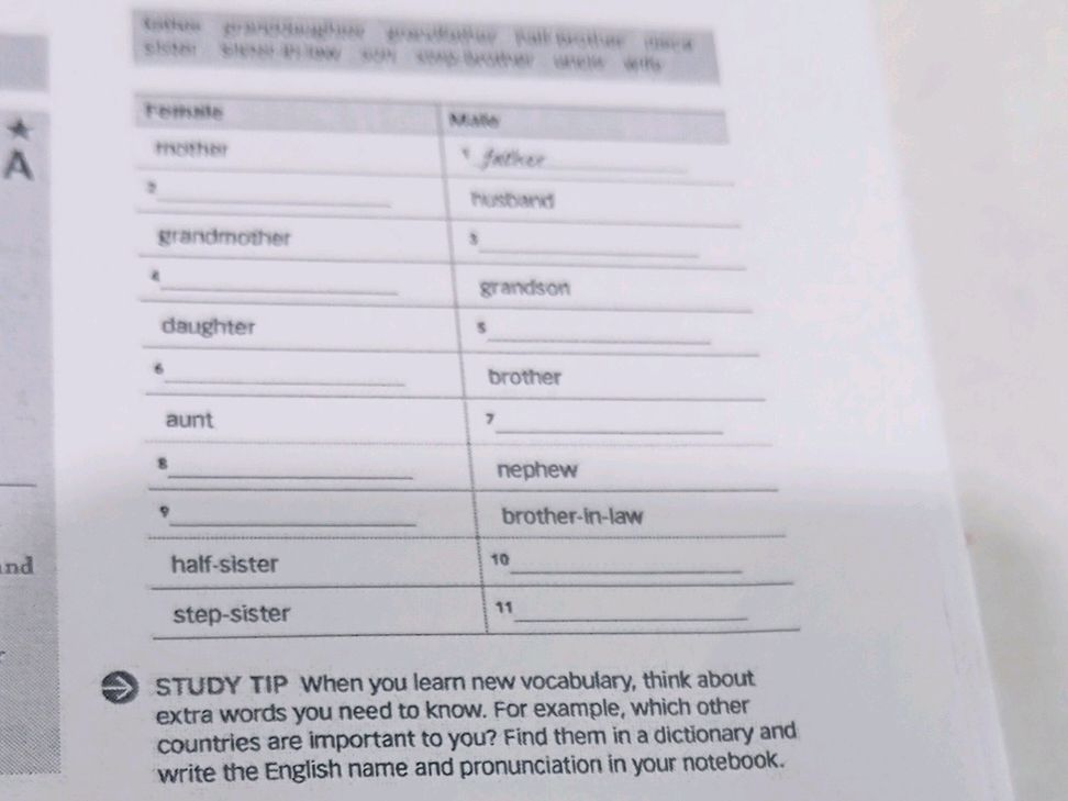 Fill in the blanks: | Female | Male | StudyX