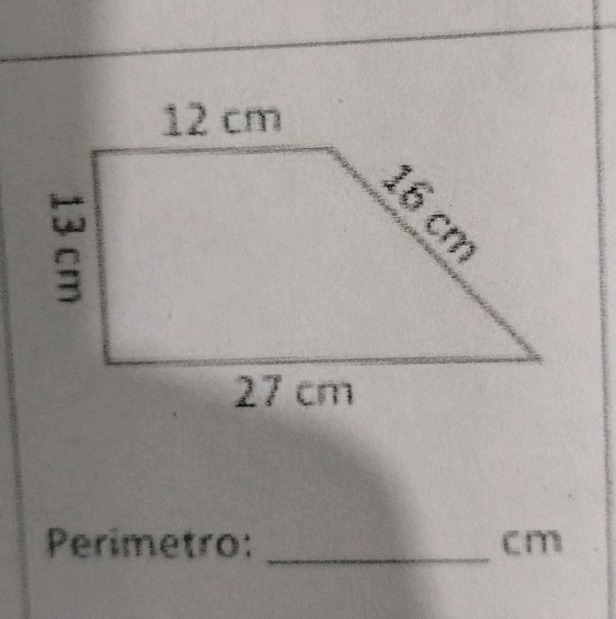 Calculate the perimeter of the shape. The | StudyX
