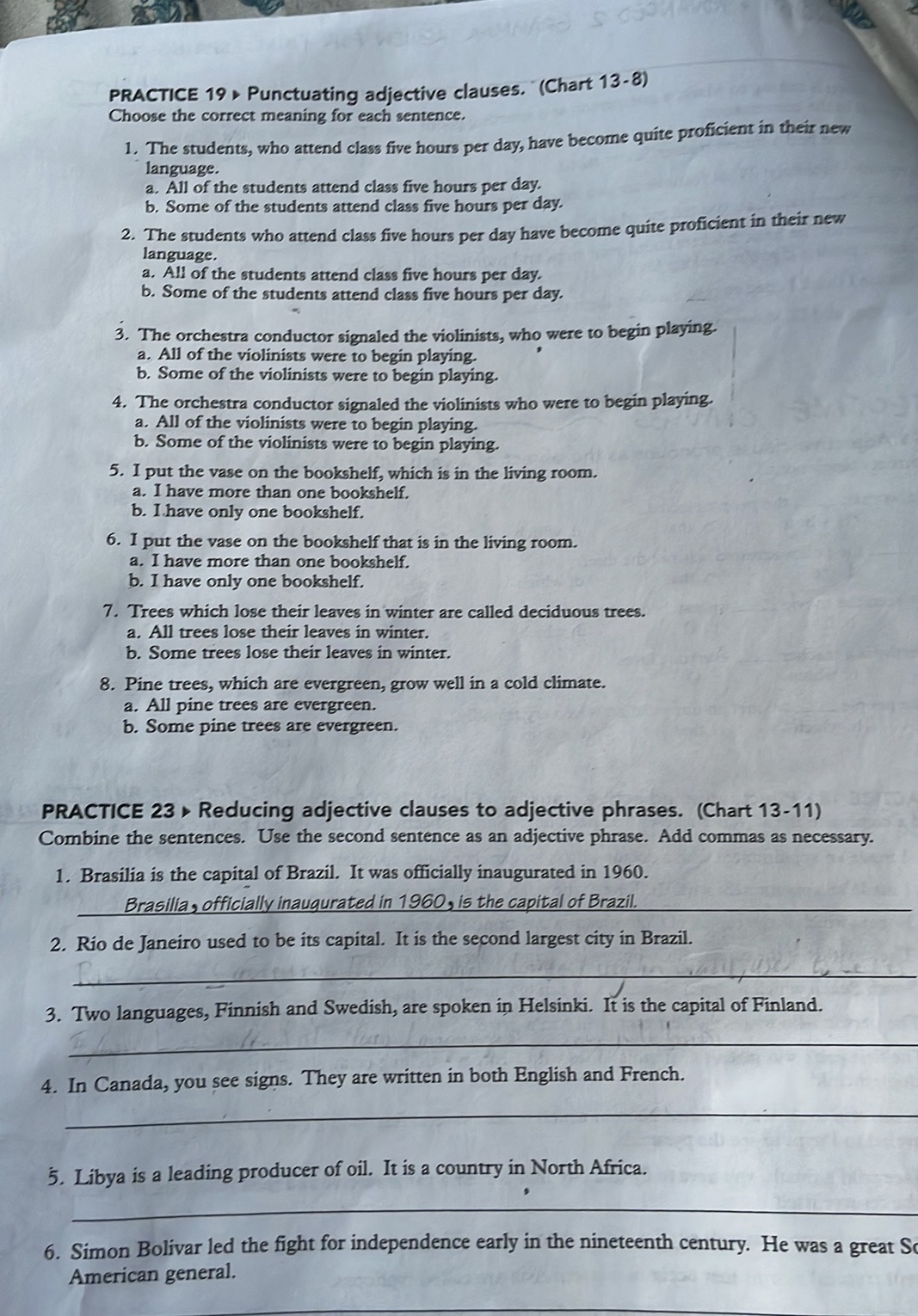 PRACTICE 19 Punctuating adjective clauses. | StudyX