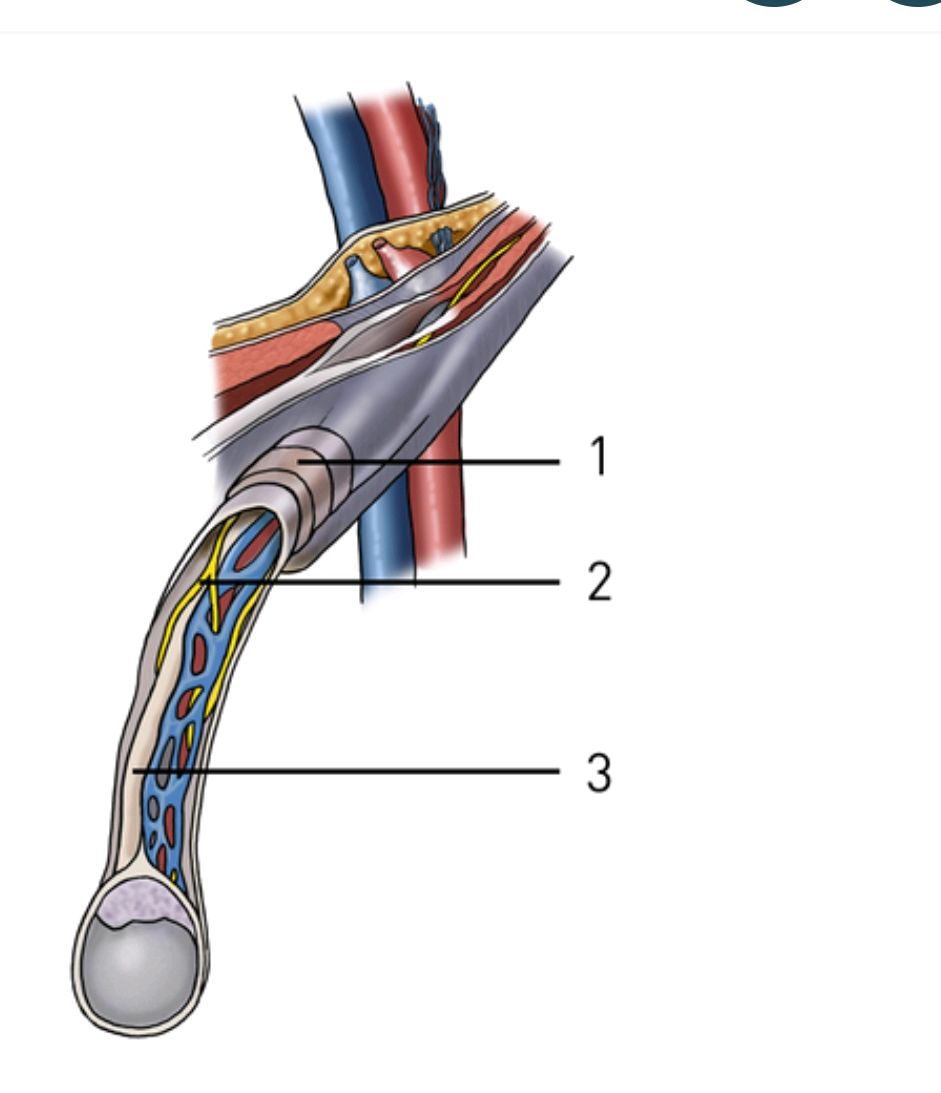 The image shows a diagram of a structure | StudyX