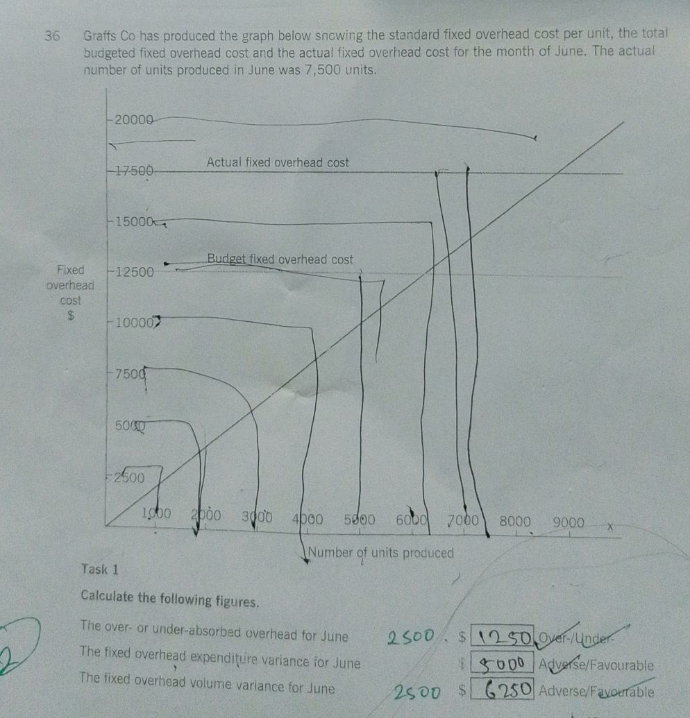Graffs Co has produced the graph below | StudyX