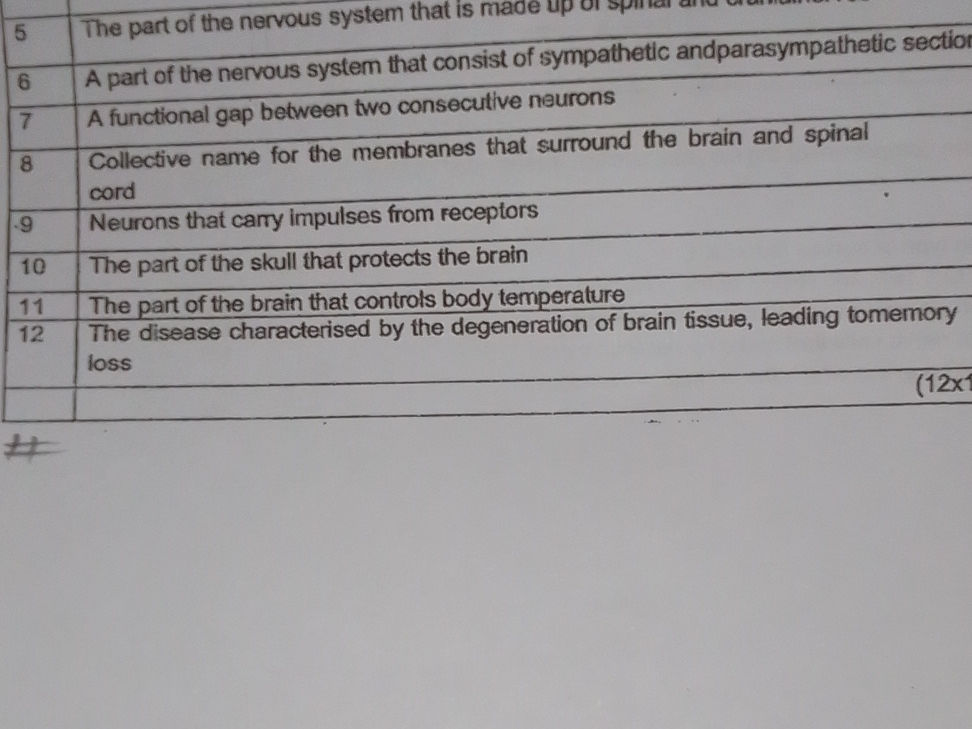 5 The part of the nervous system that is | StudyX